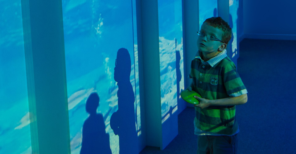 SEN Schools – 4D Immersive